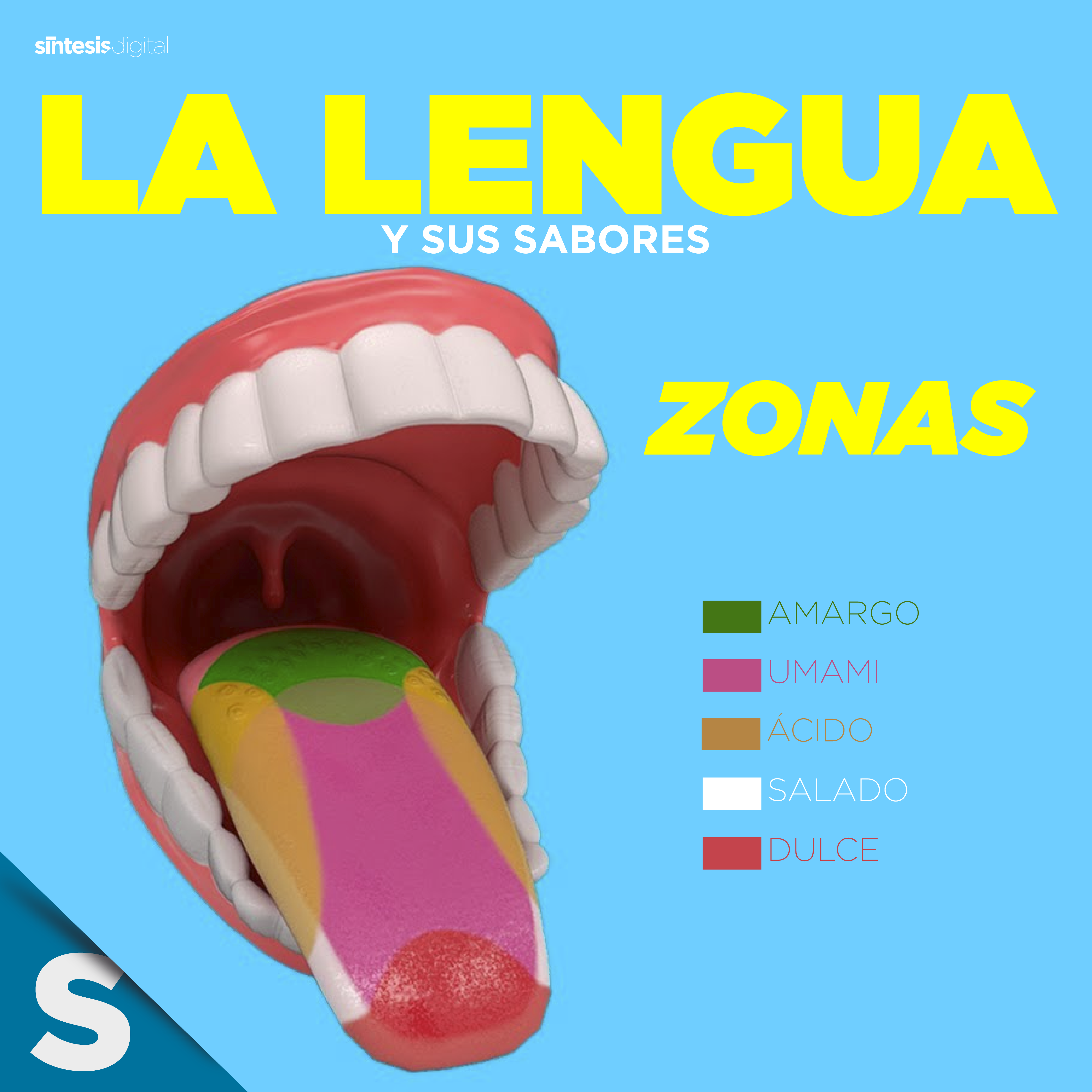 Día Mundial de Sacar la Lengua Archivos | Síntesis Tlaxcala