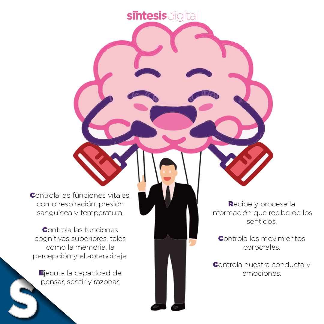 Cerebro el control | Síntesis Tlaxcala