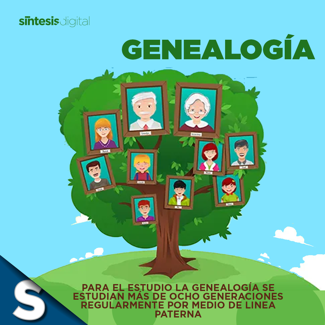 Genealogía | Síntesis Tlaxcala