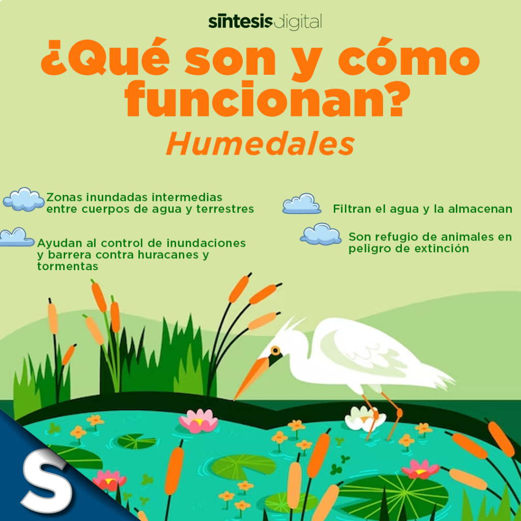 Humedales en riesgo | Síntesis Tlaxcala