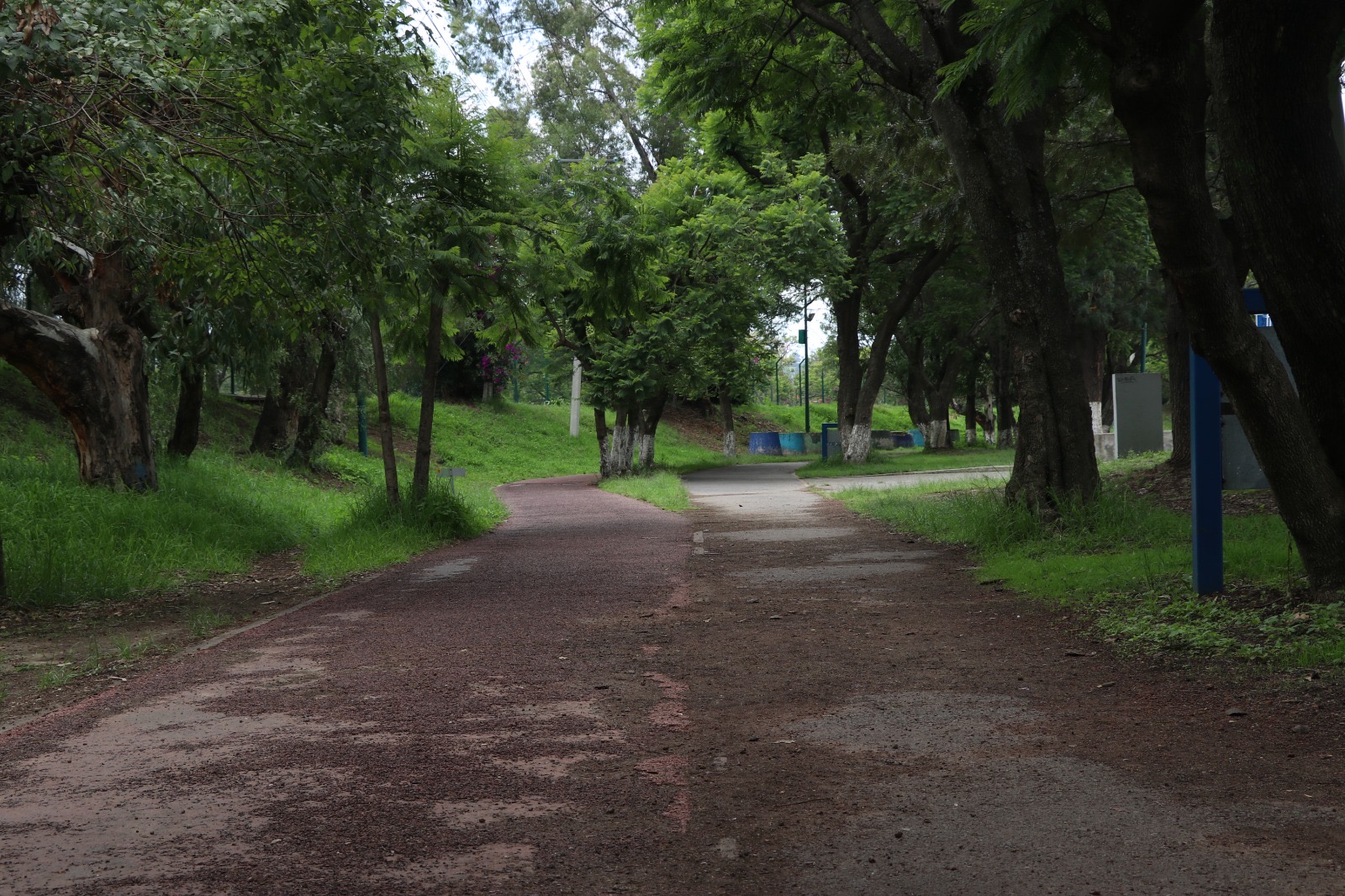 Parque De La Juventud Entra En Remodelación Estas Son Las Alternativas
